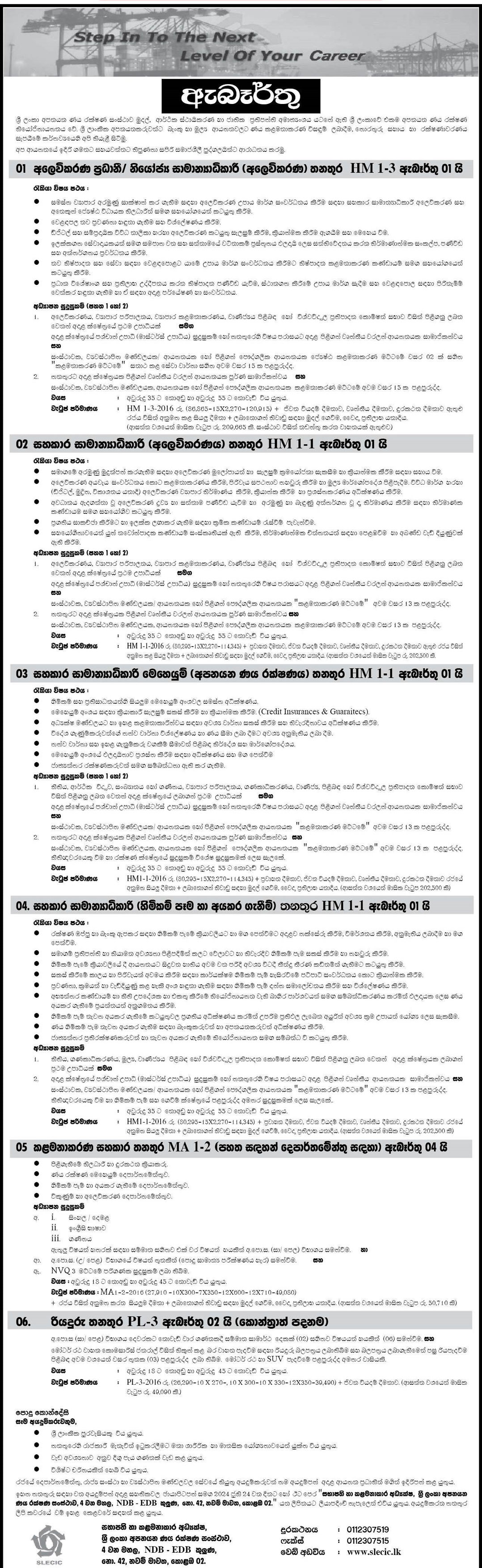 Management Assistant, Driver, Head of Marketing/Deputy General Manager ...