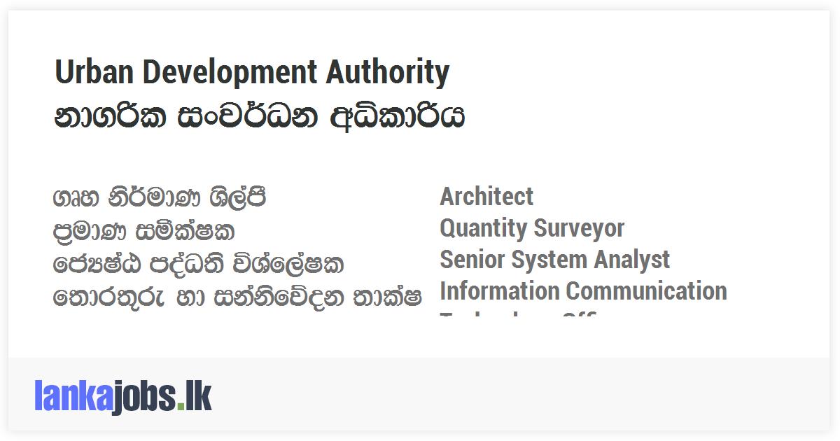 Architect, Quantity Surveyor, Senior System Analyst, Information ...