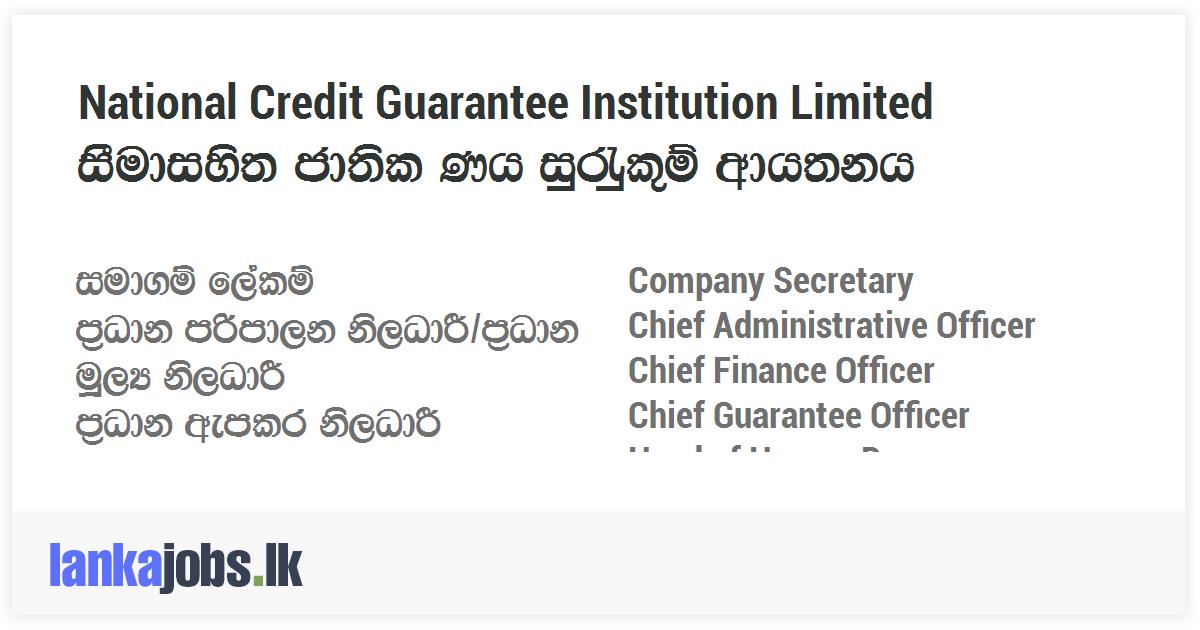 Company Secretary, Chief Administrative Officer - National Credit ...