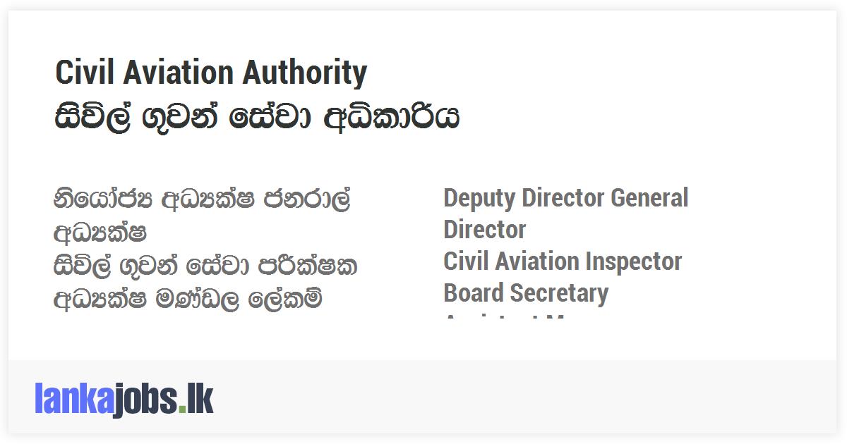 Deputy Director General, Director, Civil Aviation Inspector, Board ...