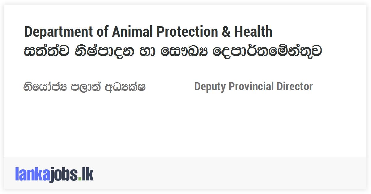 Deputy Provincial Director - Department of Animal Protection & Health