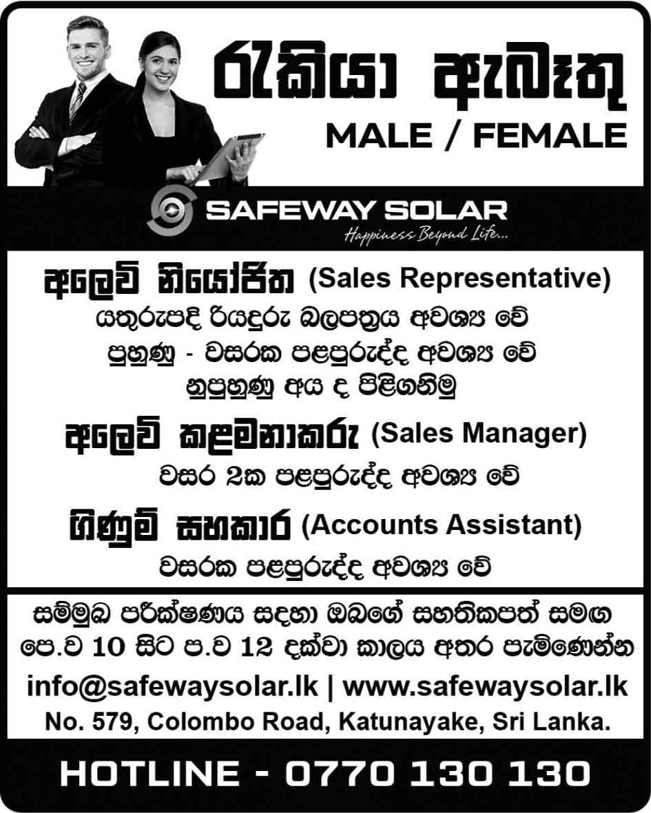 Sales Representative, Sales Manager, Account Assistant - Company name ...