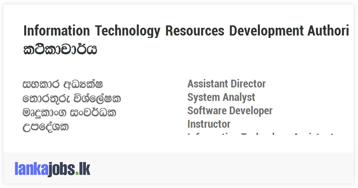 Assistant Director, System Analyst, Software Developer - Information Technology Resources ...