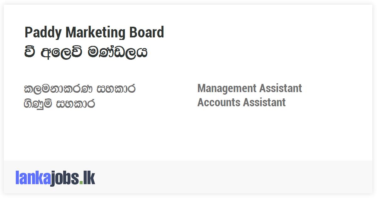 Management Assistant, Accounts Assistant - Paddy Marketing Board
