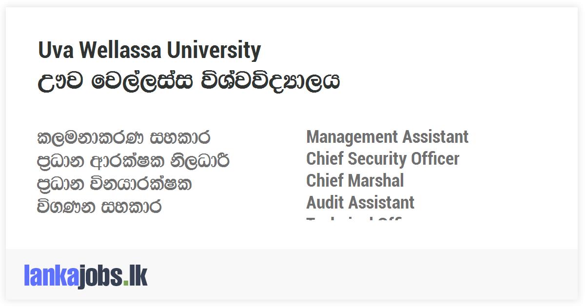 Management Assistant, Chief Security Officer, Chief Marshal, Audit ...