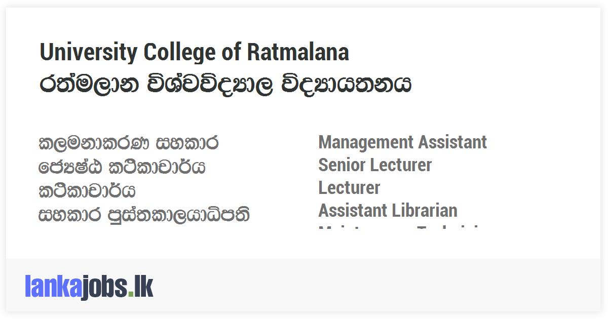 Management Assistant, Senior Lecturer, Lecturer, Assistant Librarian ...