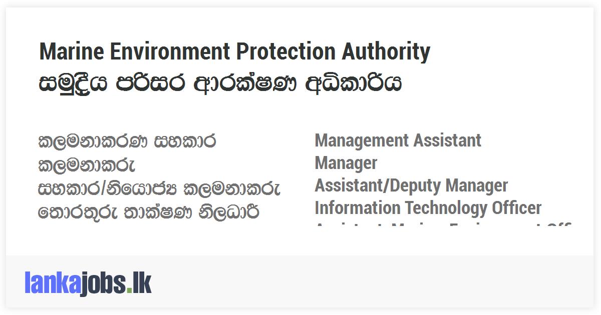 Management Assistant, Manager, Assistant/Deputy Manager - Marine ...