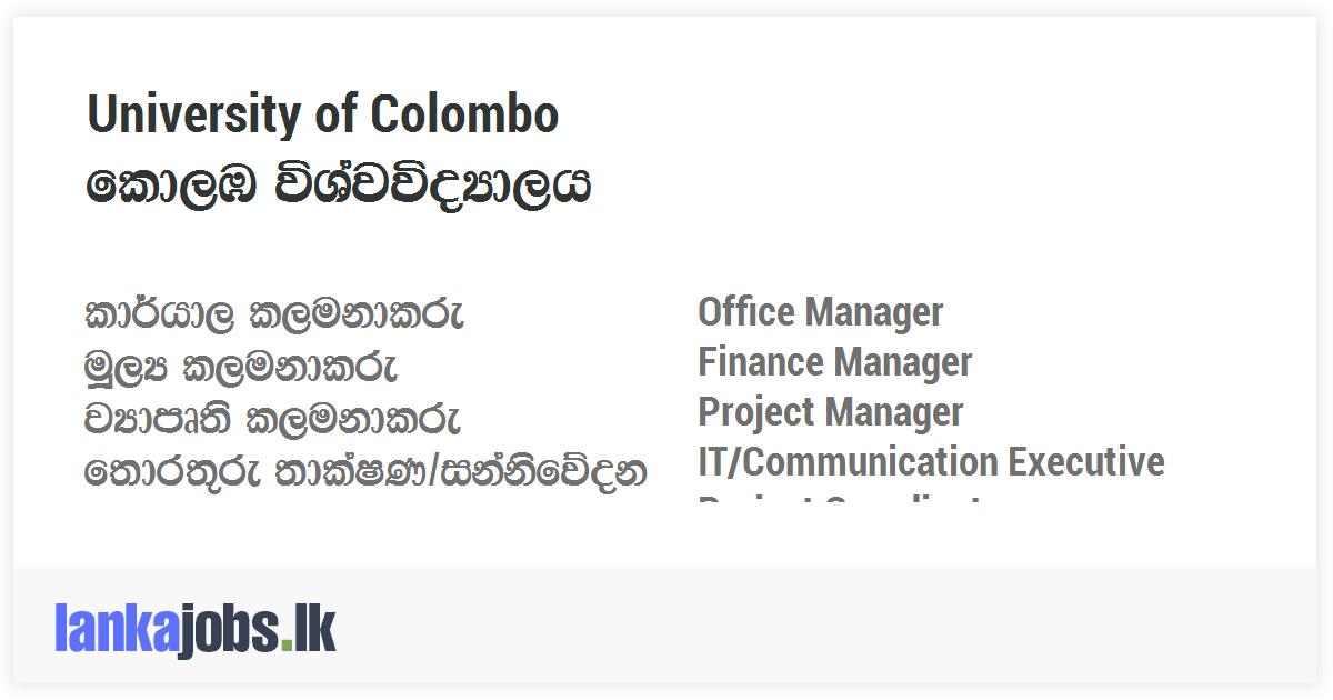 Office Manager, Finance Manager, Project Manager, IT/Communication ...