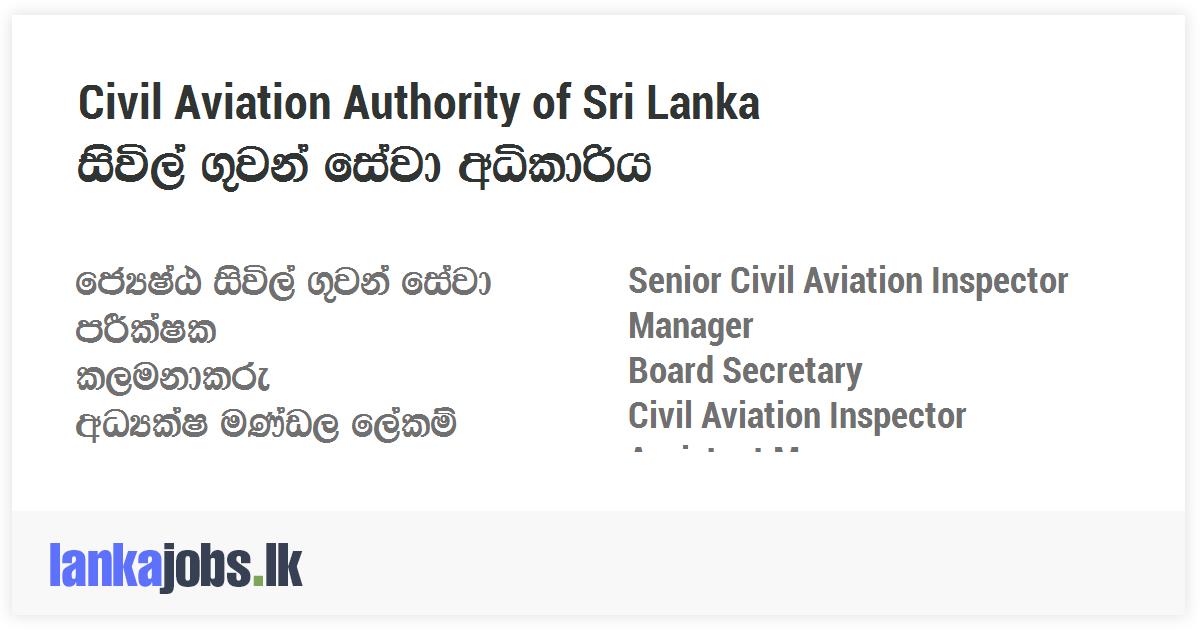 Senior Civil Aviation Inspector, Manager, Board Secretary - Civil ...