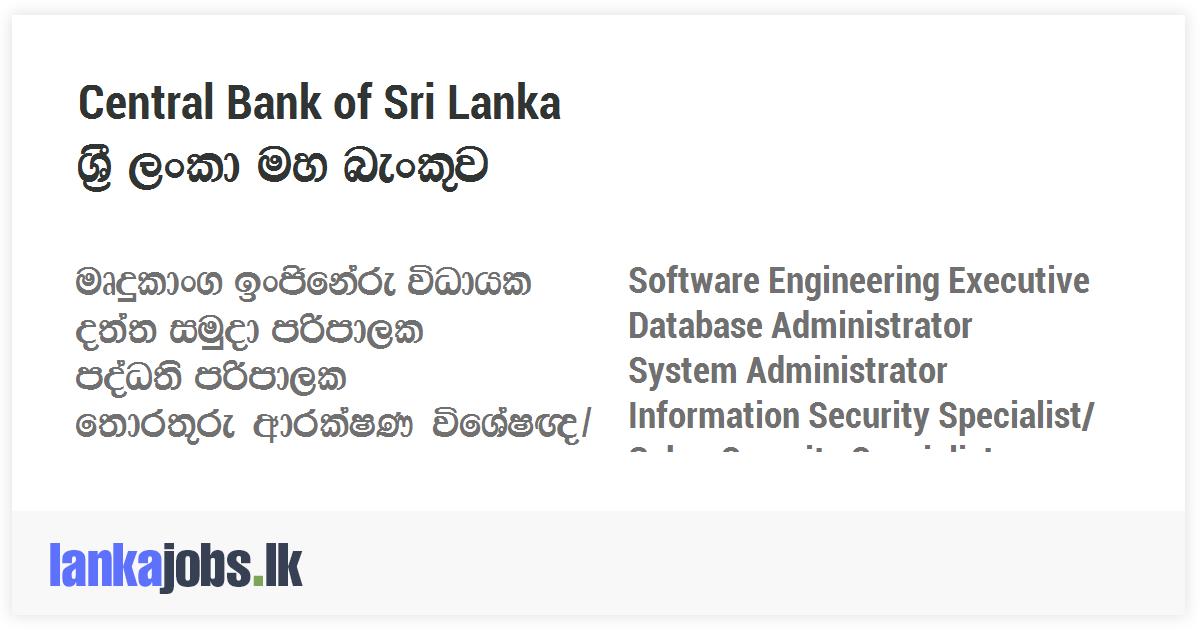 Software Engineering Executive, Database Administrator, System ...